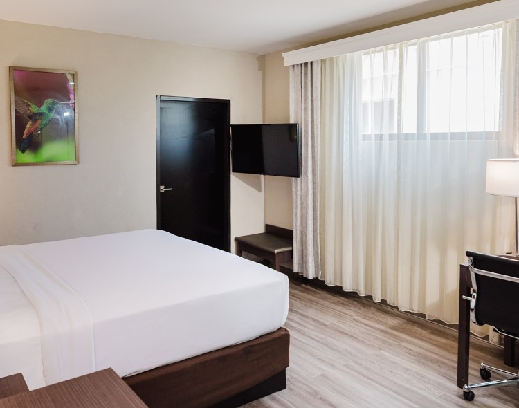 Rooms - Comfort Inn & Suites - Tobago