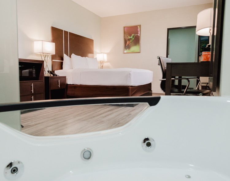 Rooms - Comfort Inn & Suites - Tobago